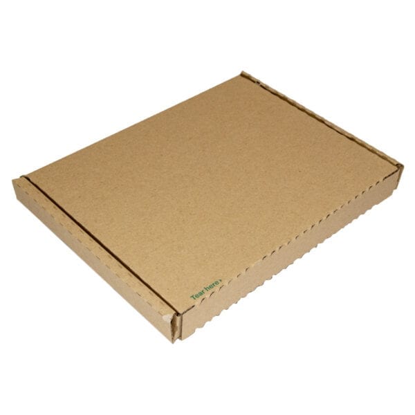 245x194x24mm Self-Seal Postal Boxes | Packaging Supplies